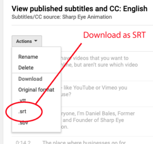 Video Transcriptions For FREE: How to Instantly Make SRT Transcripts ...